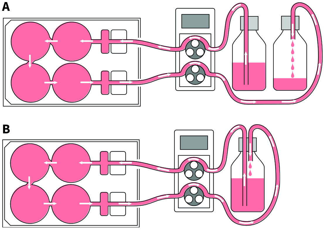 Alvetex Perfusion Plate for Perfused 3D Cell Culture