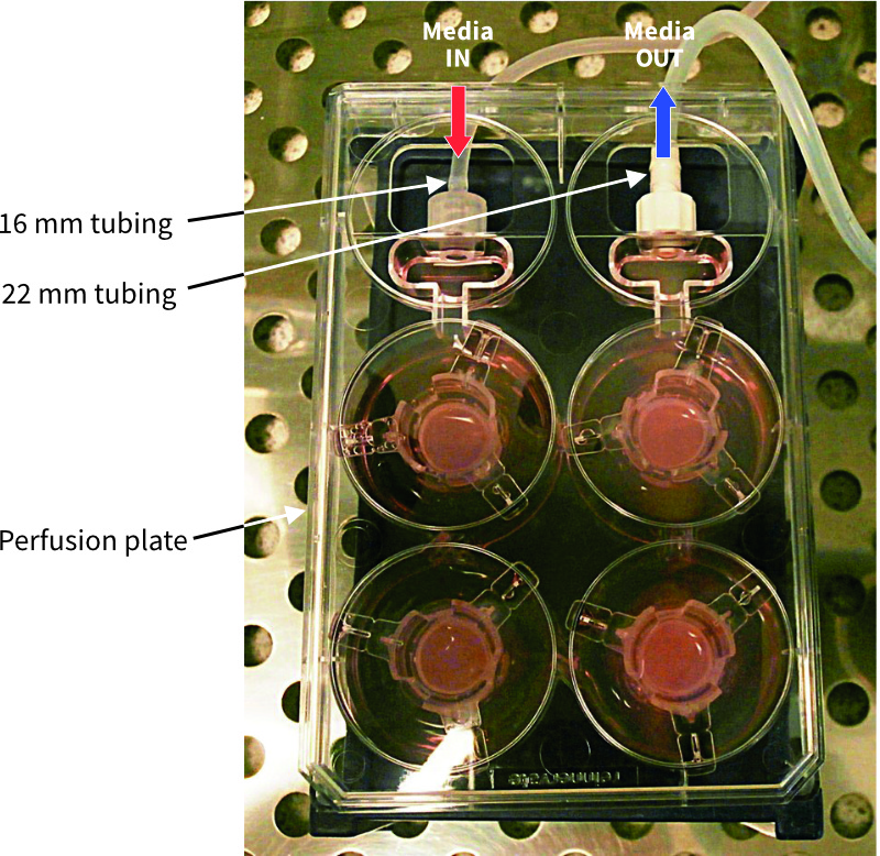Alvetex Perfusion Plate for Perfused 3D Cell Culture