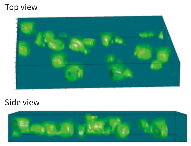 The Science of Alvetex