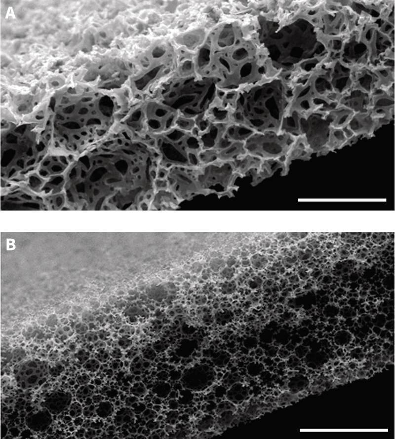 Propagation of Human Pluripotent Stem Cells in Using Alvetex Strata