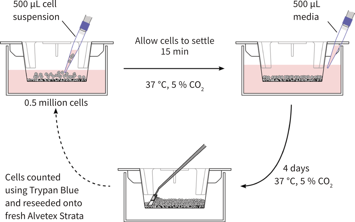 Propagation of Human Pluripotent Stem Cells in Using Alvetex Strata