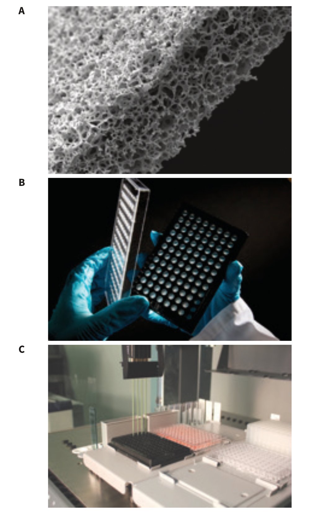 Preclinical Profiling of Anti-Cancer Therapeutics in Alvetex 96-well plates