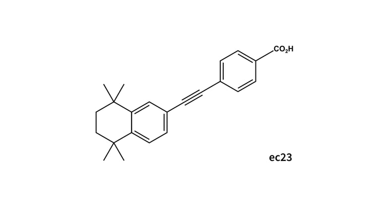 Products: RNA Reprogramming