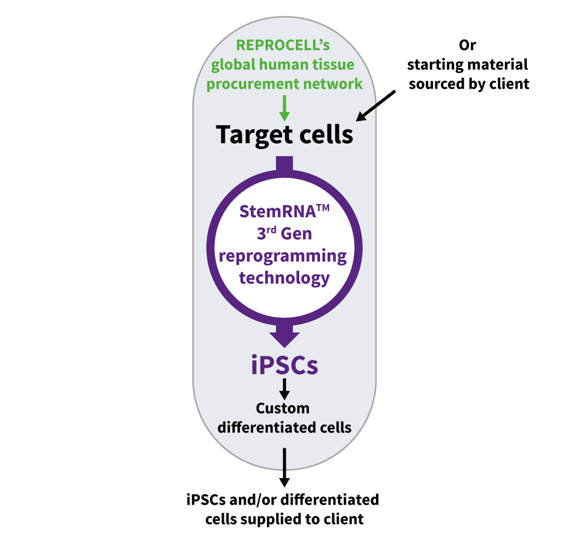 Which stem cell reprogramming technology should I use?