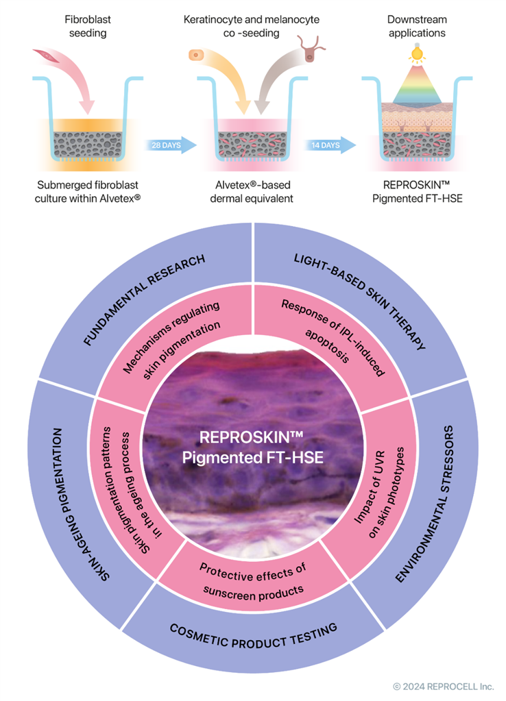 REPROCELL's Advanced Skin Tissue Engineering