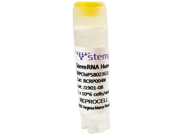 Clinical Stem Cell Services
