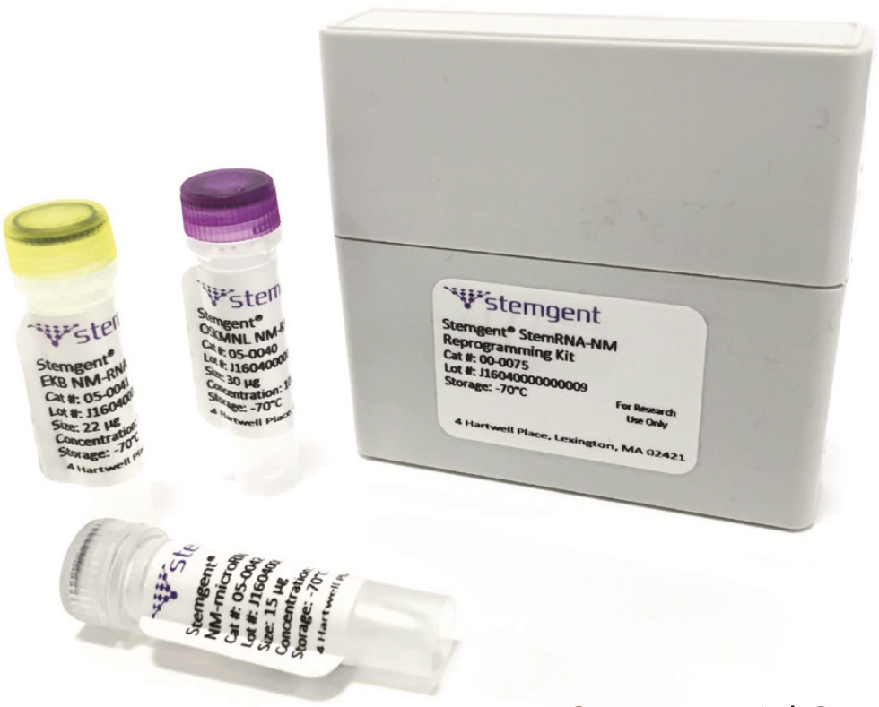 StemRNA iPSCs: off-the-shelf Human induced potent stem cell lines