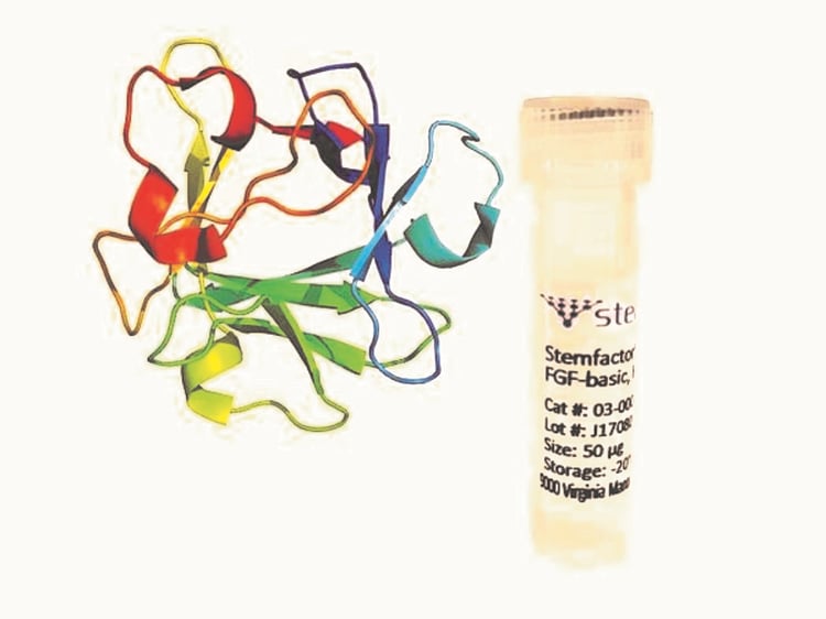 Products: Stem Cell Reagents