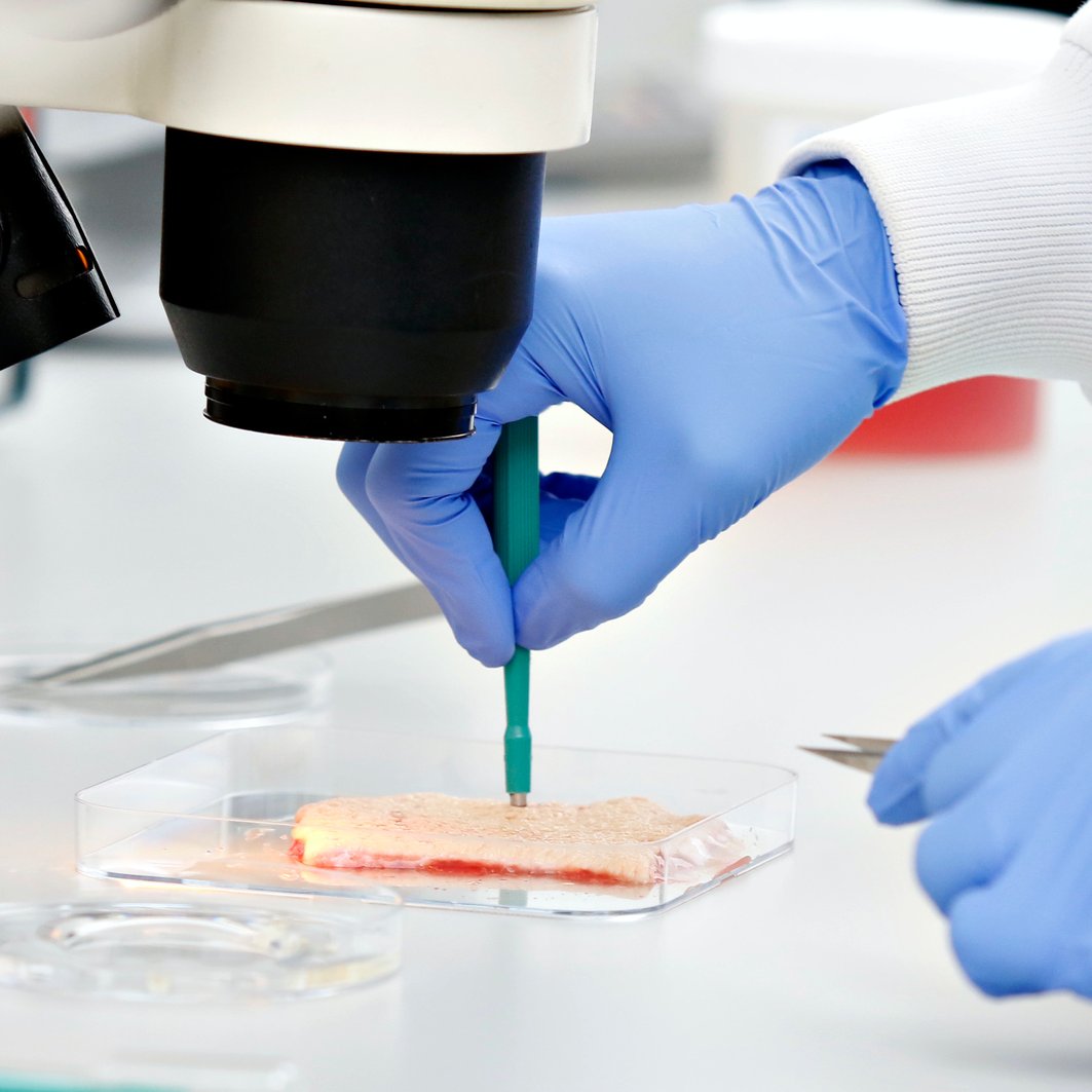 Products: Induced Pluripotent Stem Cells (iPSCs)