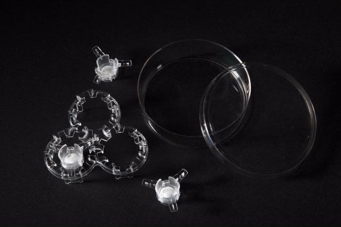 Products: Alvetex Scaffold Well Insert Starter Kit