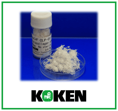 KKN-CLP-01 - Atelocollagen Powder