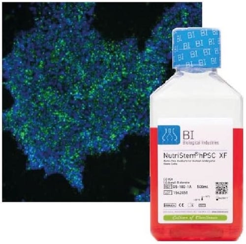 Products: Stem Cell Reagents