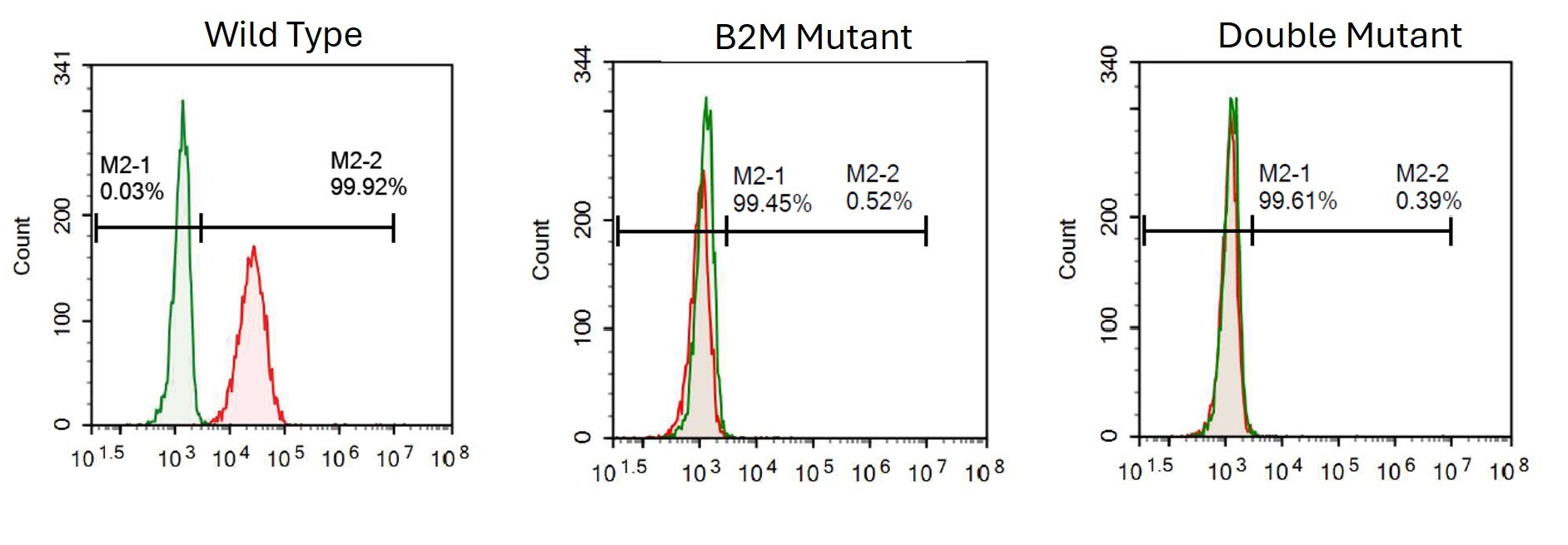 StemEdit Human iPSC non-HLA class 1 (B2M Homo KO)
