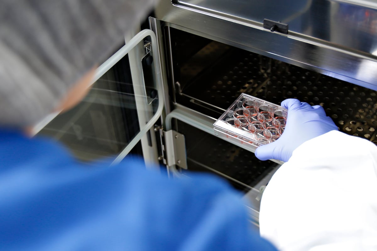 REPROCELL: A Global Preclinical and Clinical Research Company