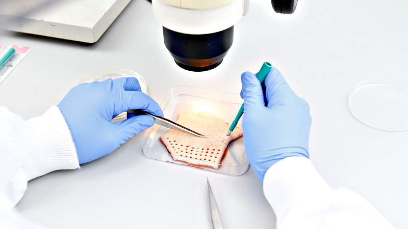 REPROCELL highlights the power of human fresh tissue in global ...