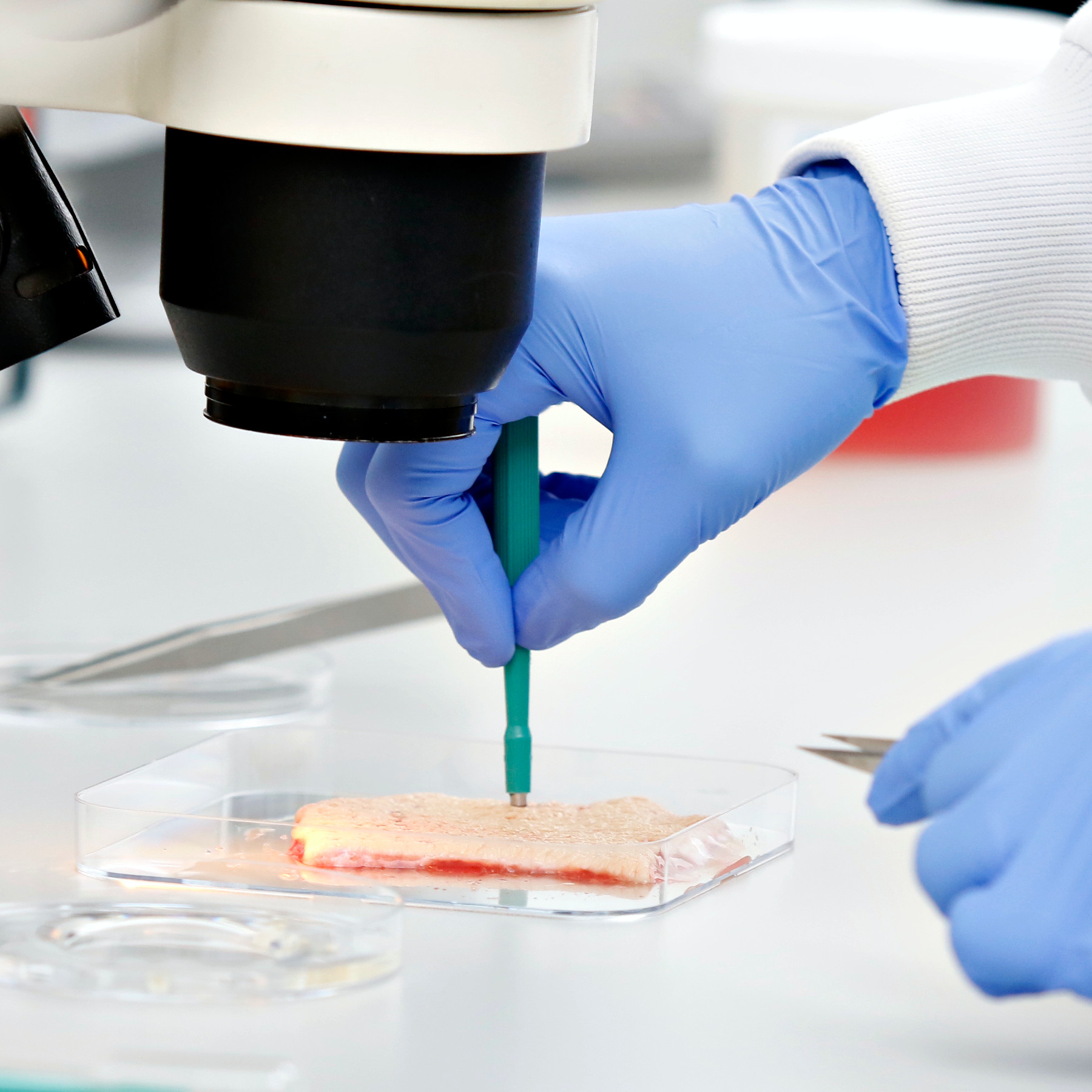 Leveraging Human Tissue Models with Preclinical and Drug Discovery CRO